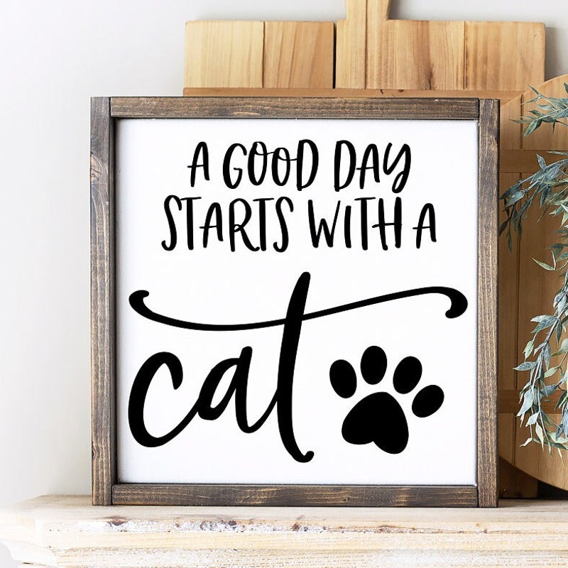 Funny Cat Signs - Etsy
