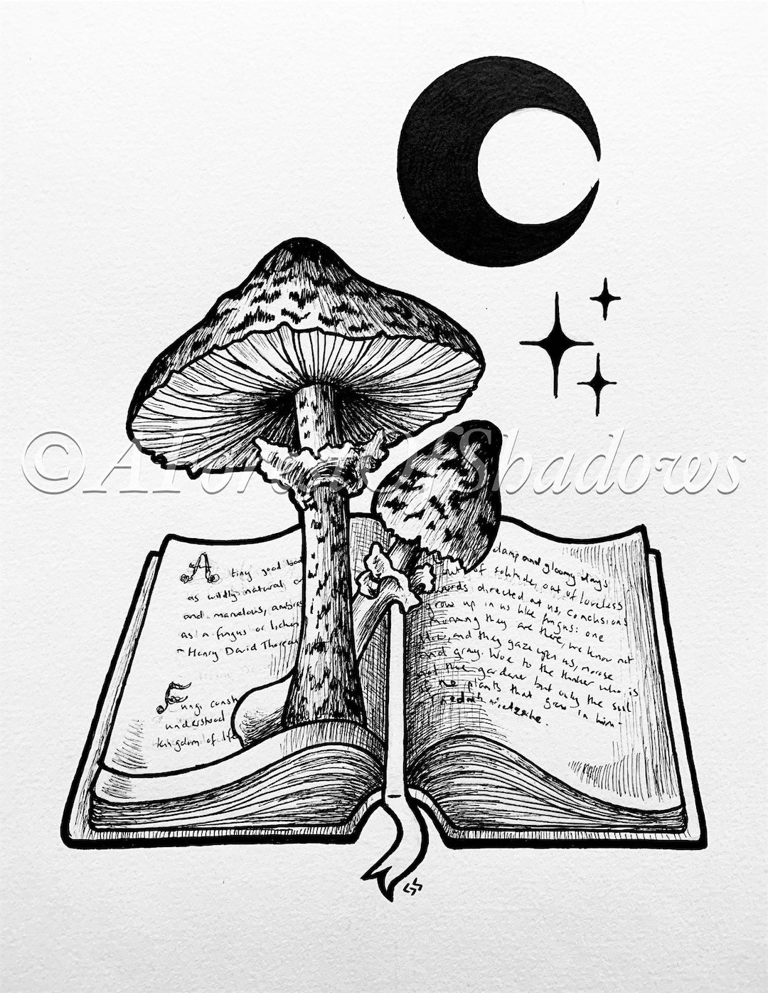 Fungi Book Original Pen and Ink Illustration | Mushroom Art | Fungi ...