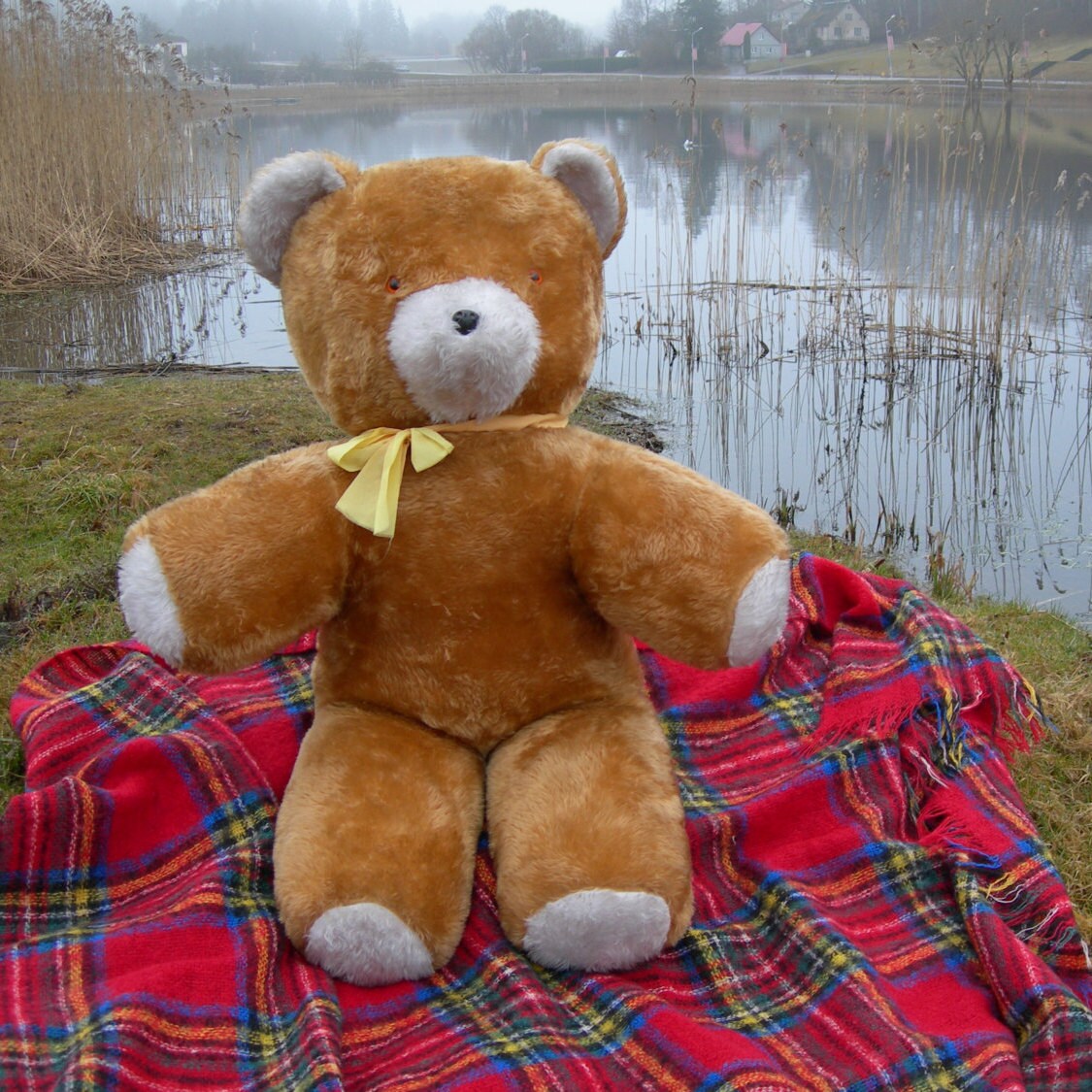 37 Huge Antique German Bear 1930s Light Golden Caramel - Etsy