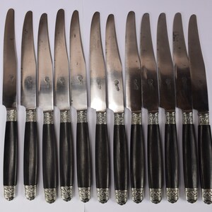 French Antique Set of 12 Ebony Handle Dinner Knife, 19th.c Knives ...