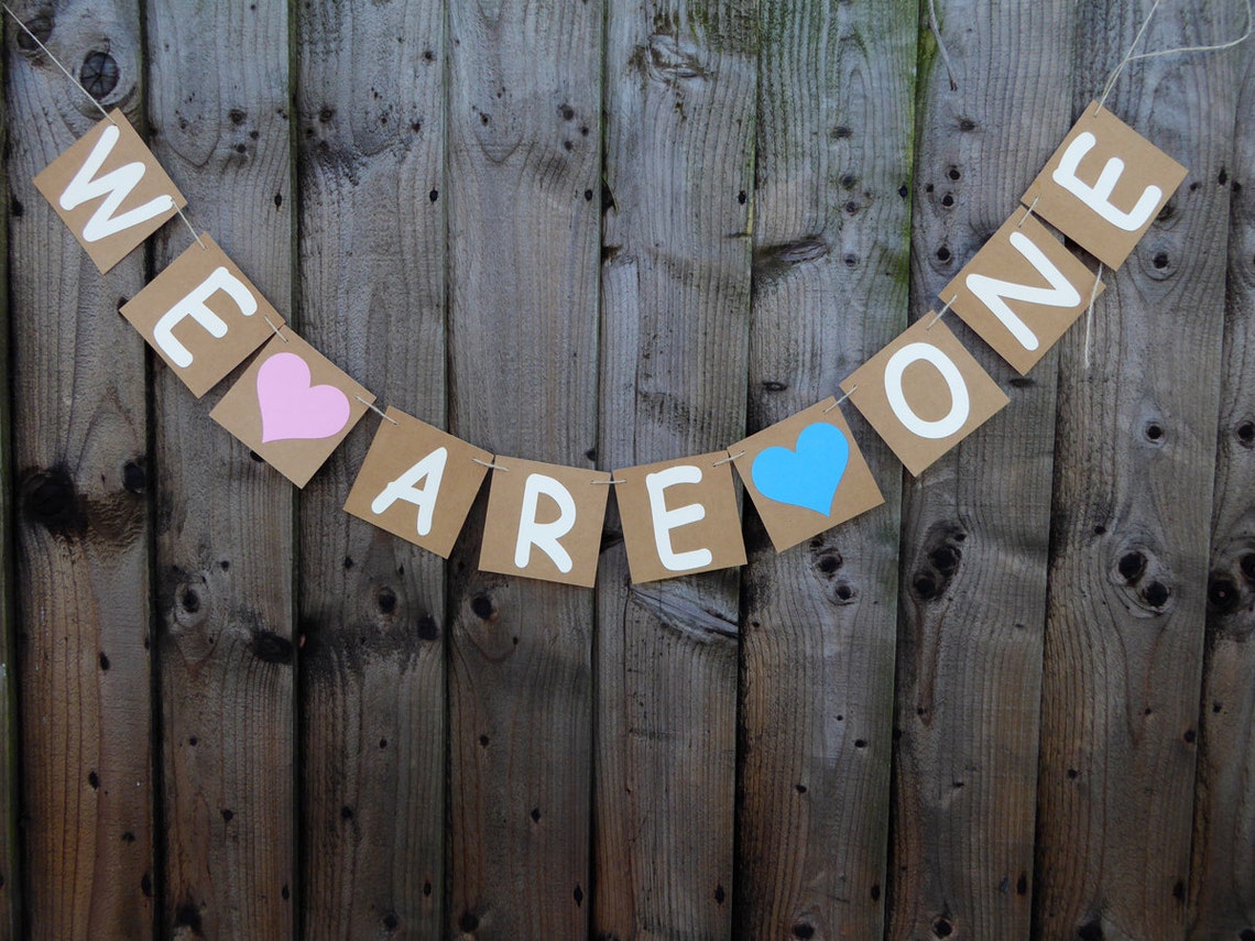 Twins Birthday, We Are One Bunting, Twins 1st Birthday Party Decor ...