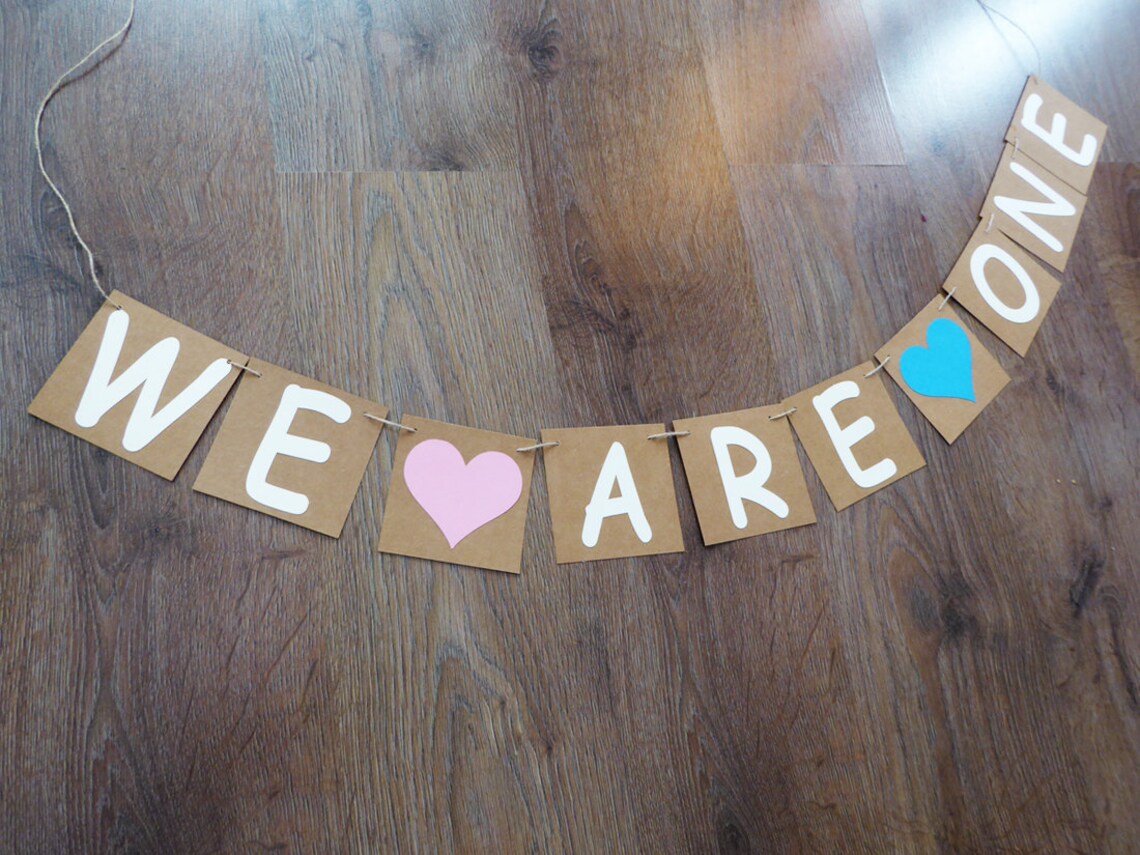 Twins Birthday, We Are One Bunting, Twins 1st Birthday Party Decor ...