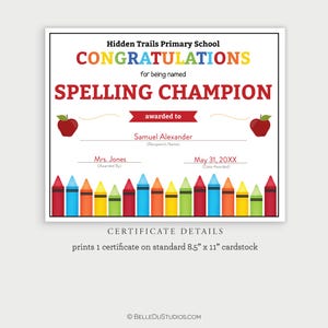 DIY Editable Award Certificates for School, End of Year Award Template ...