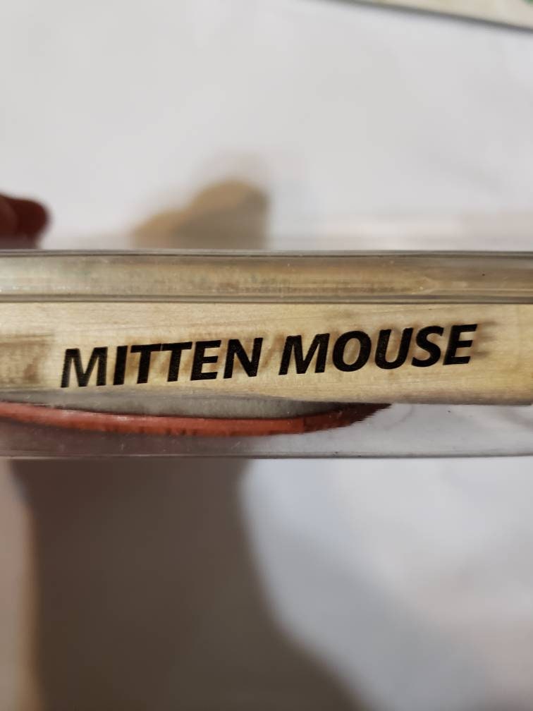 Stampin up Mitten Mouse, Vintage Stamp Set, 1998, Cards Scrapbook - Etsy