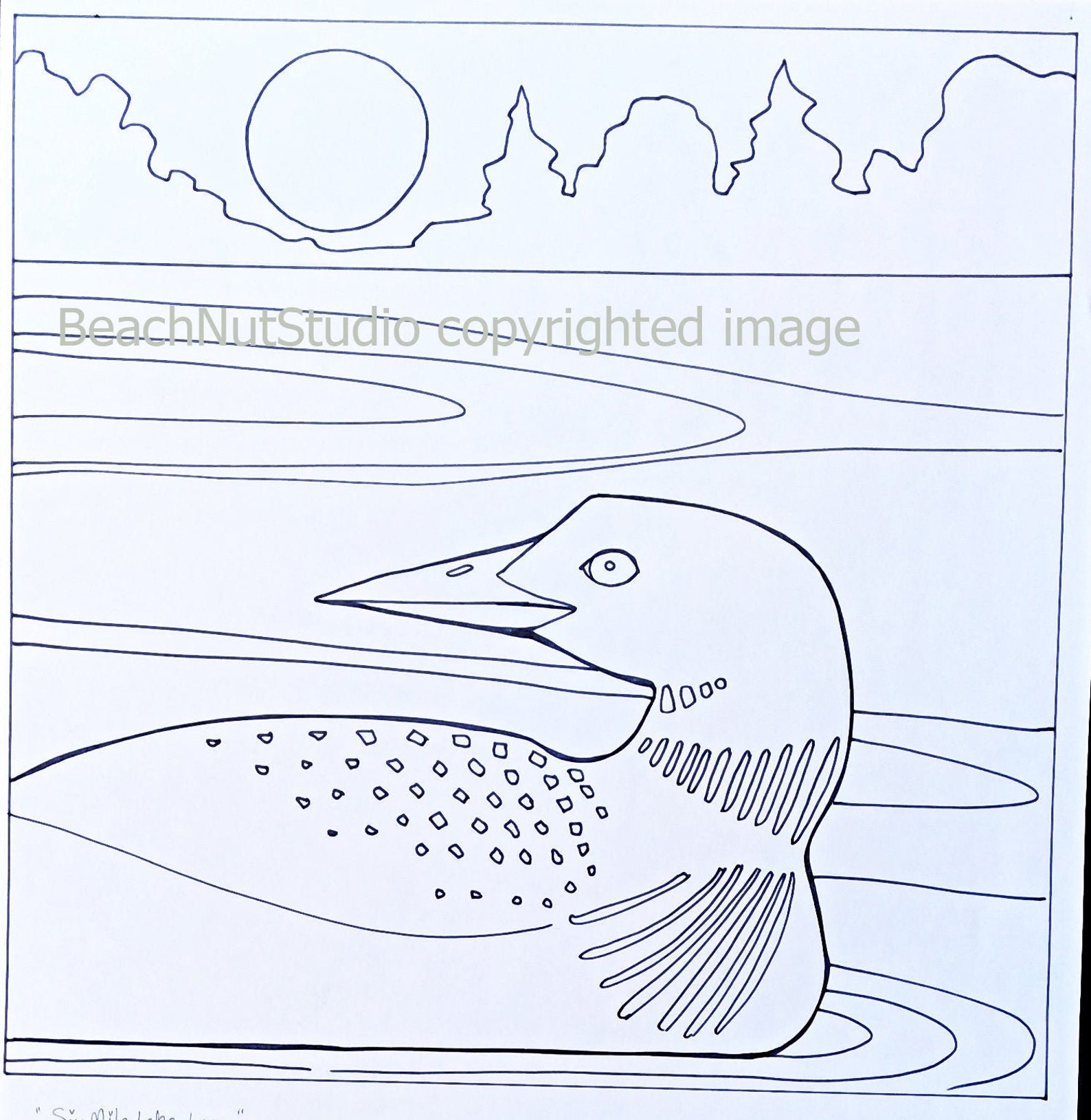 Six Mile Lake Loon Rug Hooking Pattern - Etsy