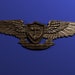 Navy Enlisted Aviation Warfare Specialist EAWS Insignia 3D Stl File for ...