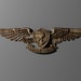 Navy Enlisted Aviation Warfare Specialist EAWS Insignia 3D Stl File for ...