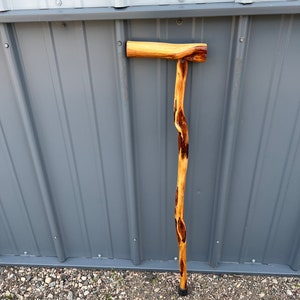 Diamond Willow Cane - 34.5” & 1 Lb. 1 Oz. - 100% Satisfaction Guarantee ...