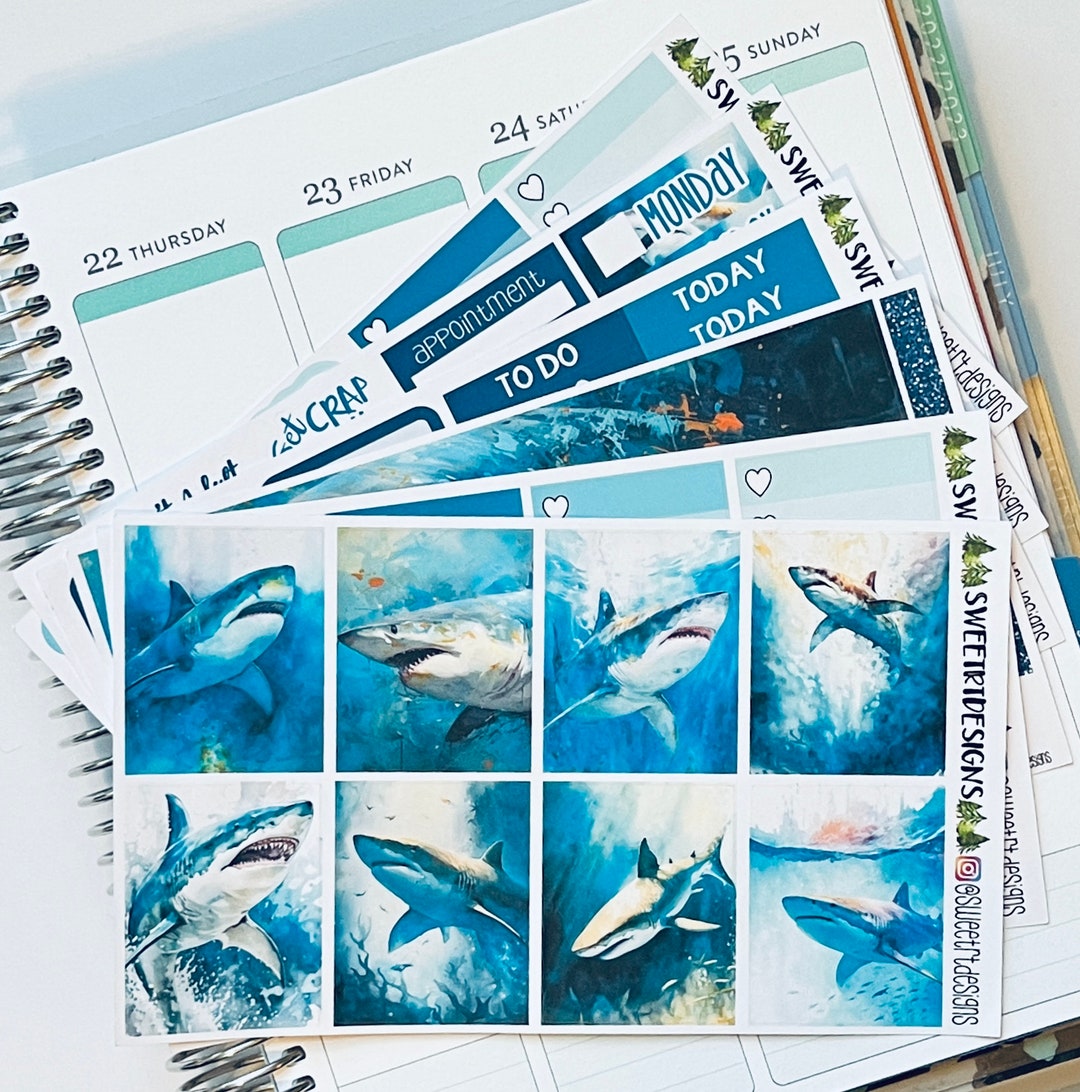 Deluxe Weekly Planner Sticker Kit - Etsy