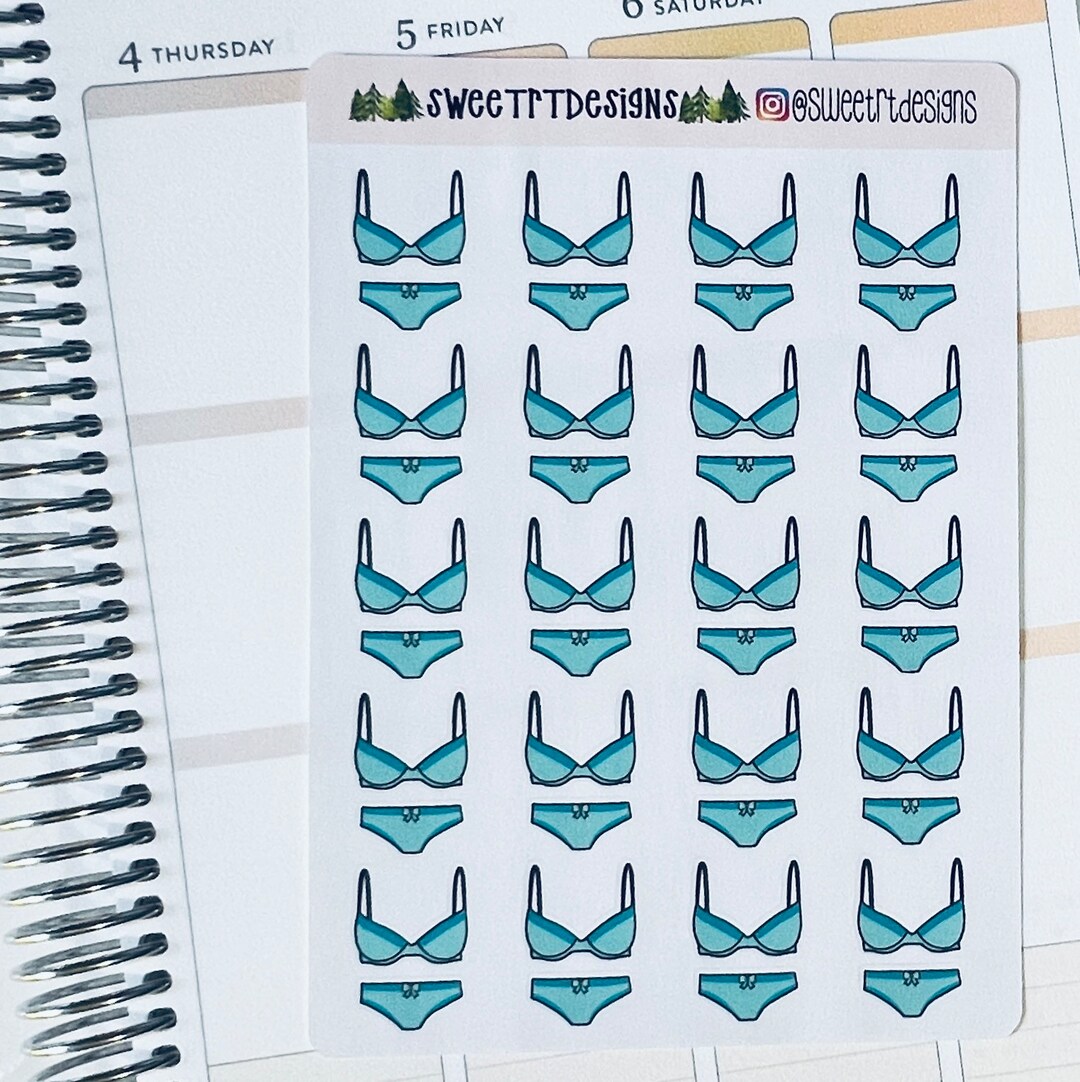 Regular Teal Bra & Undies Planner Stickers - Etsy