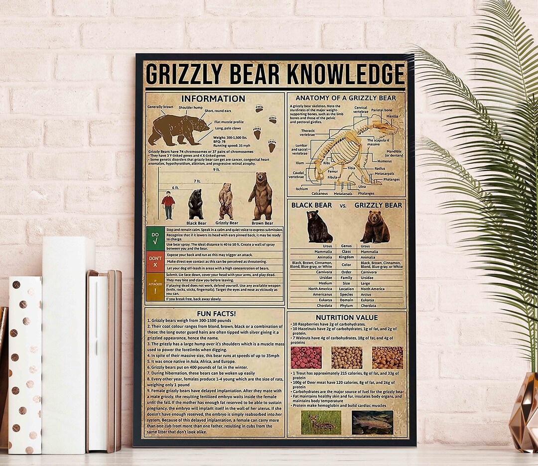 Grizzly Bear Knowledge Print, Vintage Bear Knowledge, All About Grizzly ...