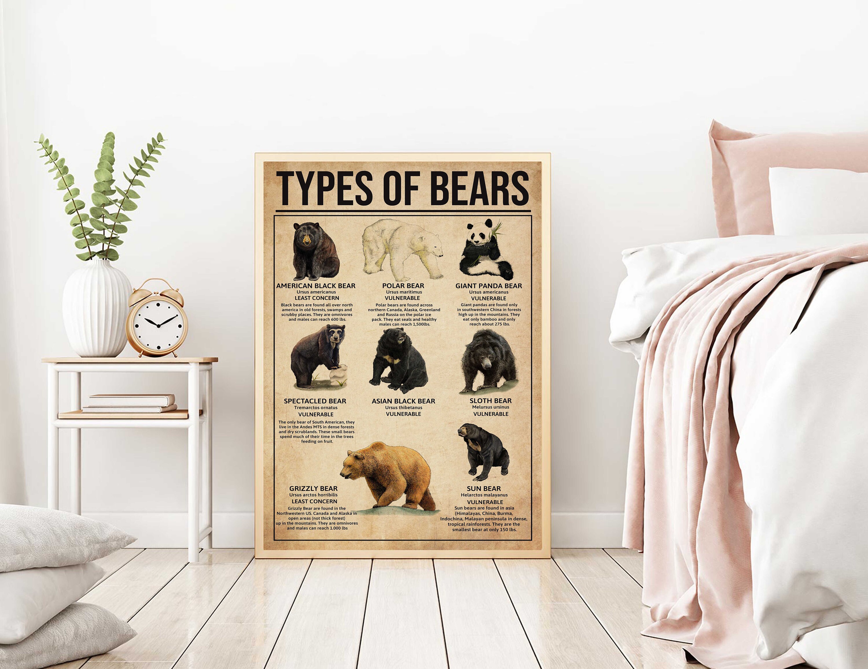Vintage Types of Bear Art Print, Bear Knowledge Vintage Poster, Bear of ...