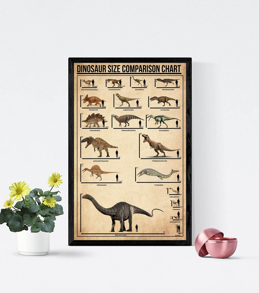 Dinosaur Size Comparison Chart, Type of Dinosaur Print, Dinosaur ...