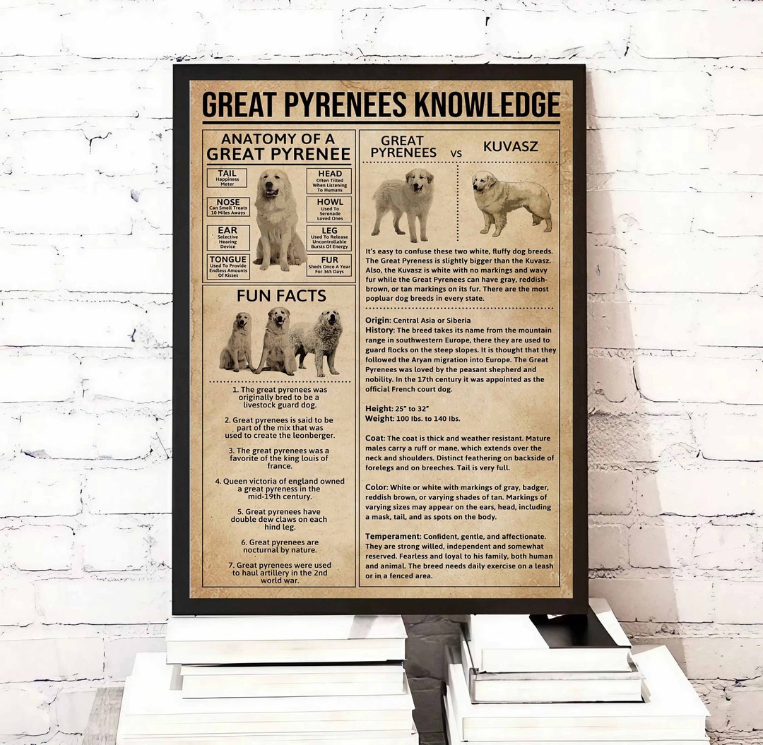 Great Pyrenees Knowledge Poster Dog Posters Dog Vintage Wall - Etsy
