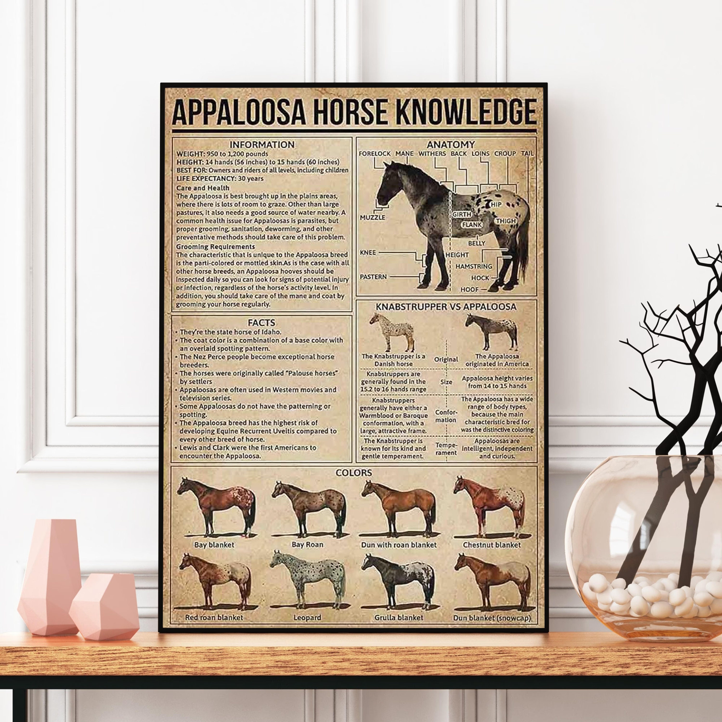 Appaloosa Horse Knowledge Print, Vintage Horse Knowledge Poster, Horse ...