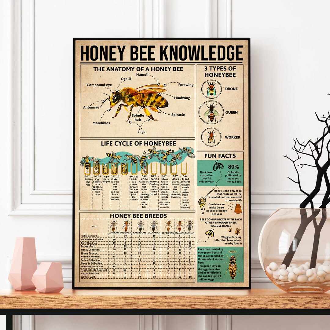 Honey Bee Knowledge Art Print, Bee Posters, Bee Home Decor, Honey Bee ...