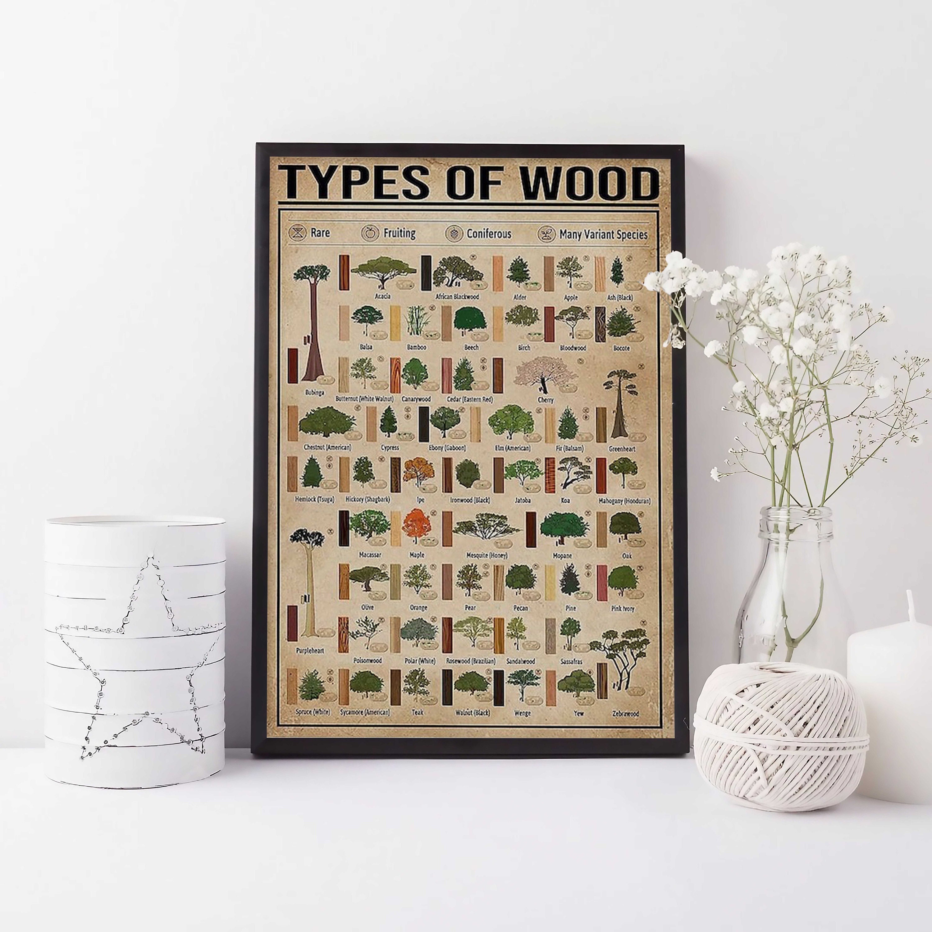 Types Of Wood Poster at Miguel Arnold blog