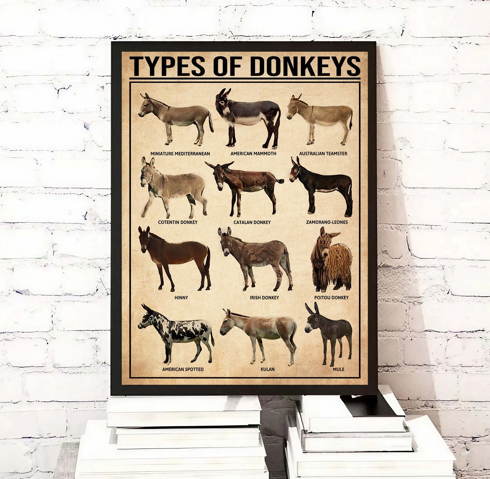 Donkey Farm Poster, Types of Donkey Wall Art, Vintage Donkey Farm ...