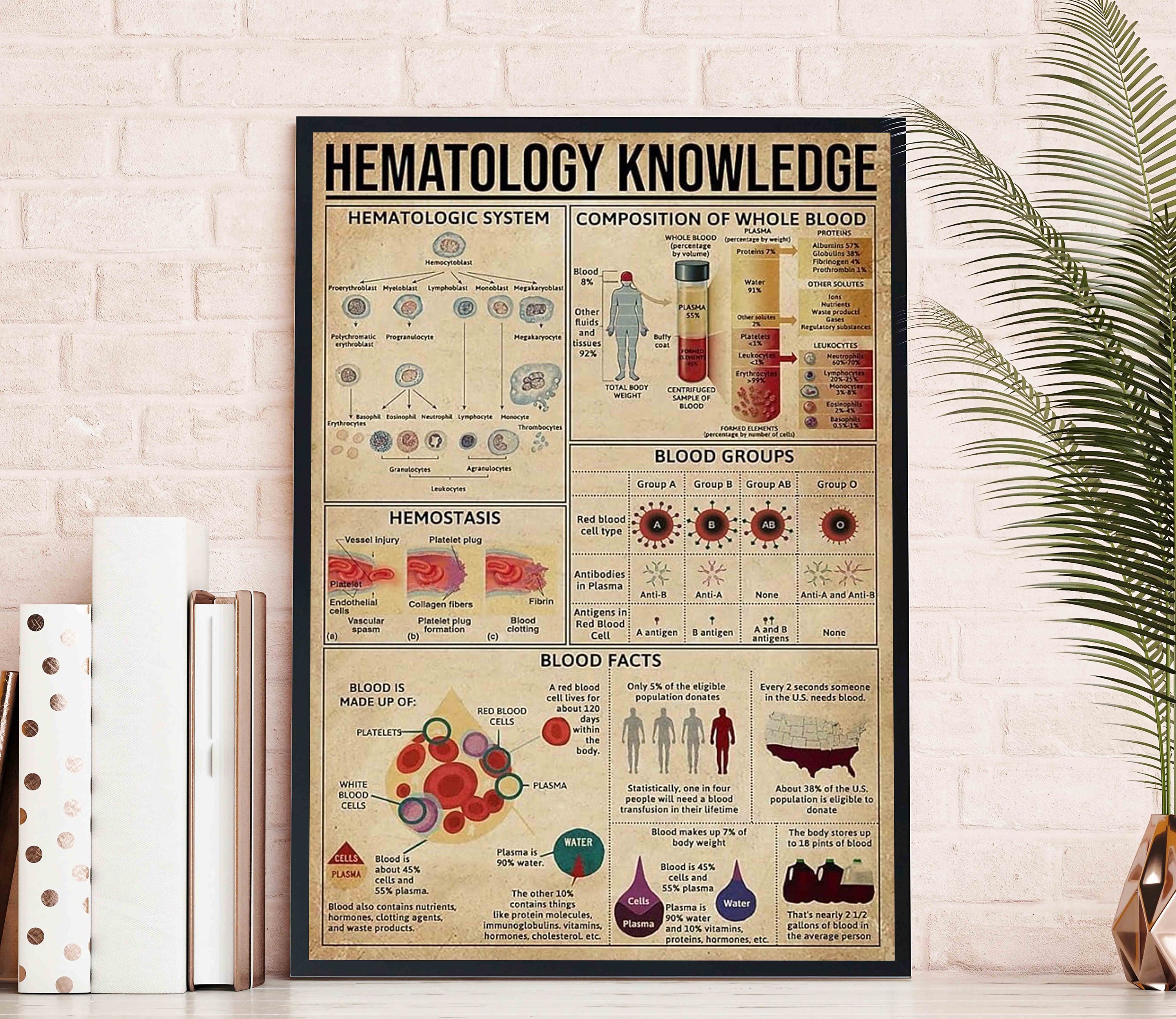 Vintage Hematology Knowledge Poster, Nursing Study Guide, Hematologist ...