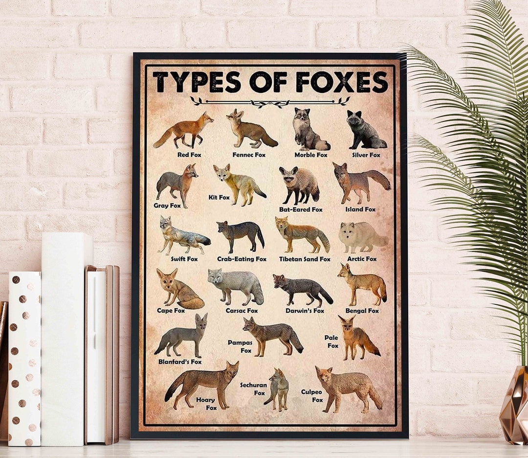 Vintage Types of Foxes Poster, Foxes Art Print, Fox Lover Poster, Fox ...