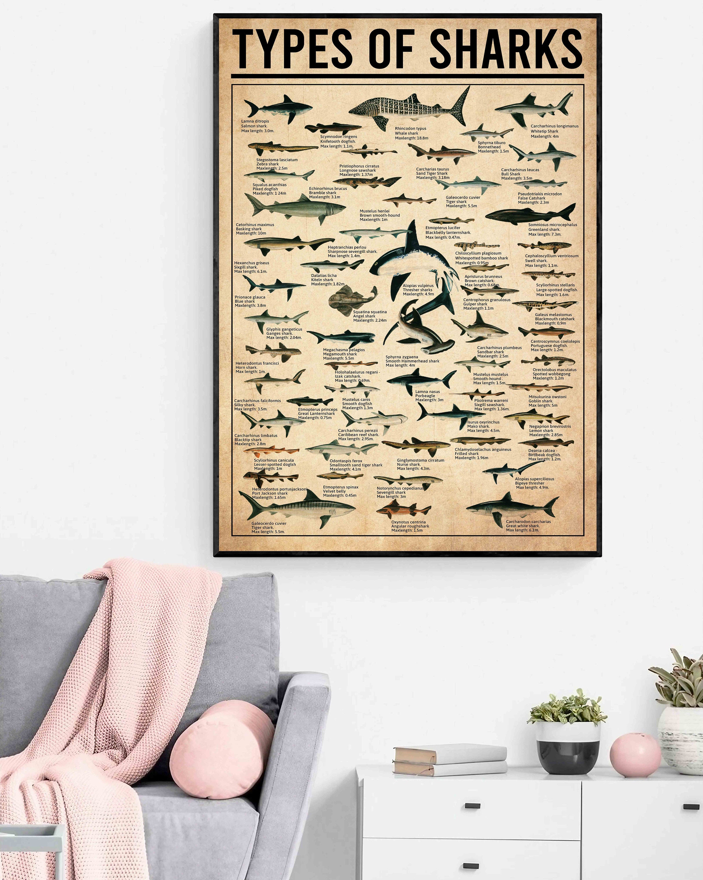 Vintage Sharks Poster, Types of Sharks Art Print, Shark Lover Gift ...