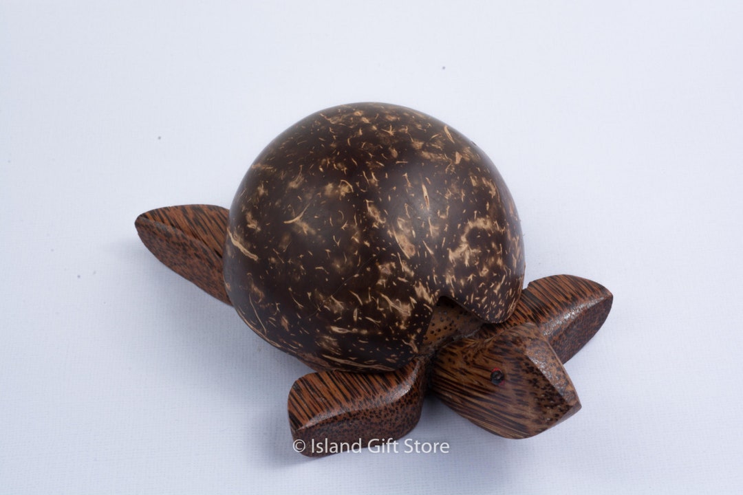 Turtle Shaped Box Made From Coconut Wood and Coconut Shell - Etsy