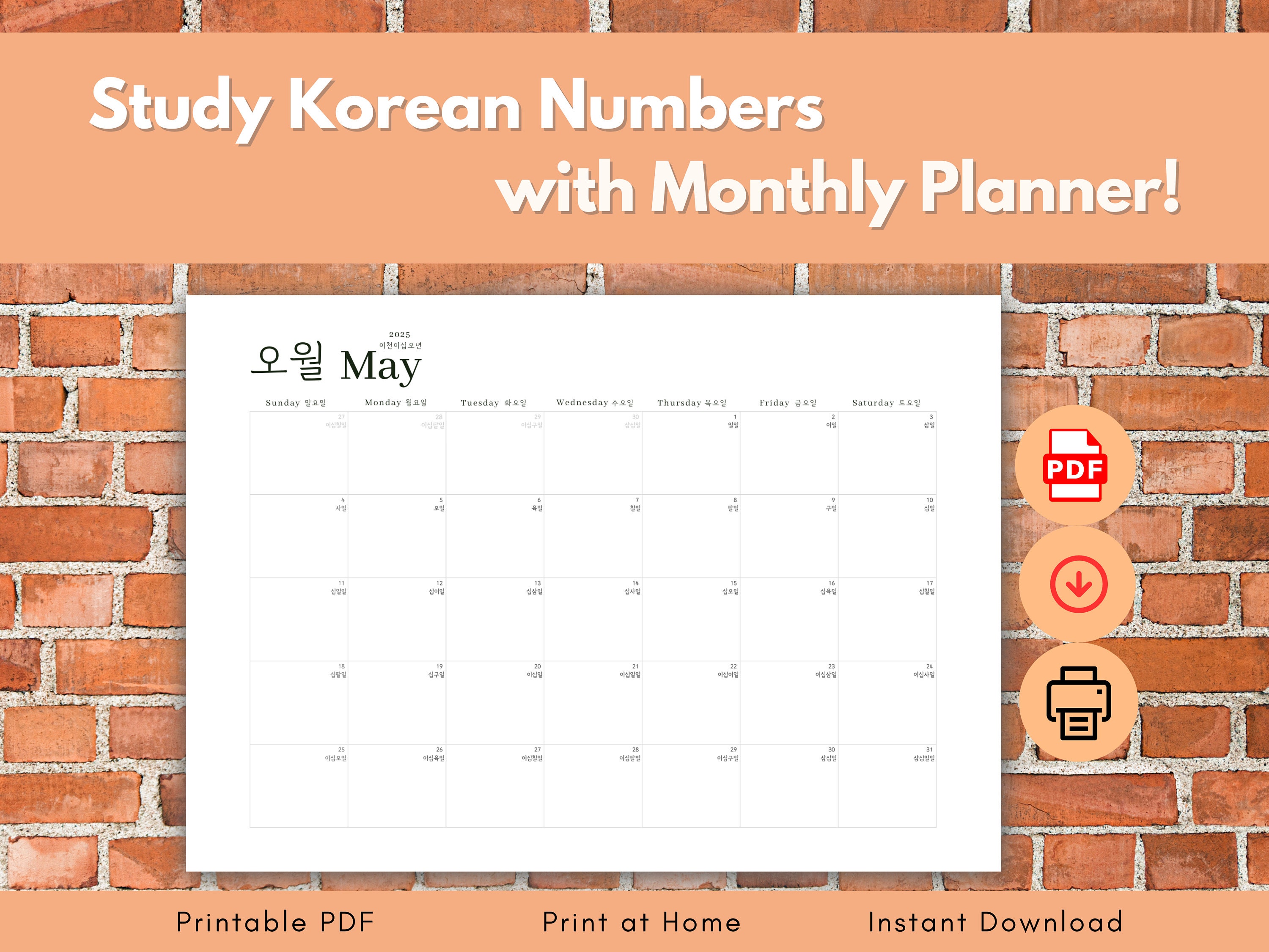 2024 2025 Study Korean Numbers With Monthly Planner: Korean Calendar ...