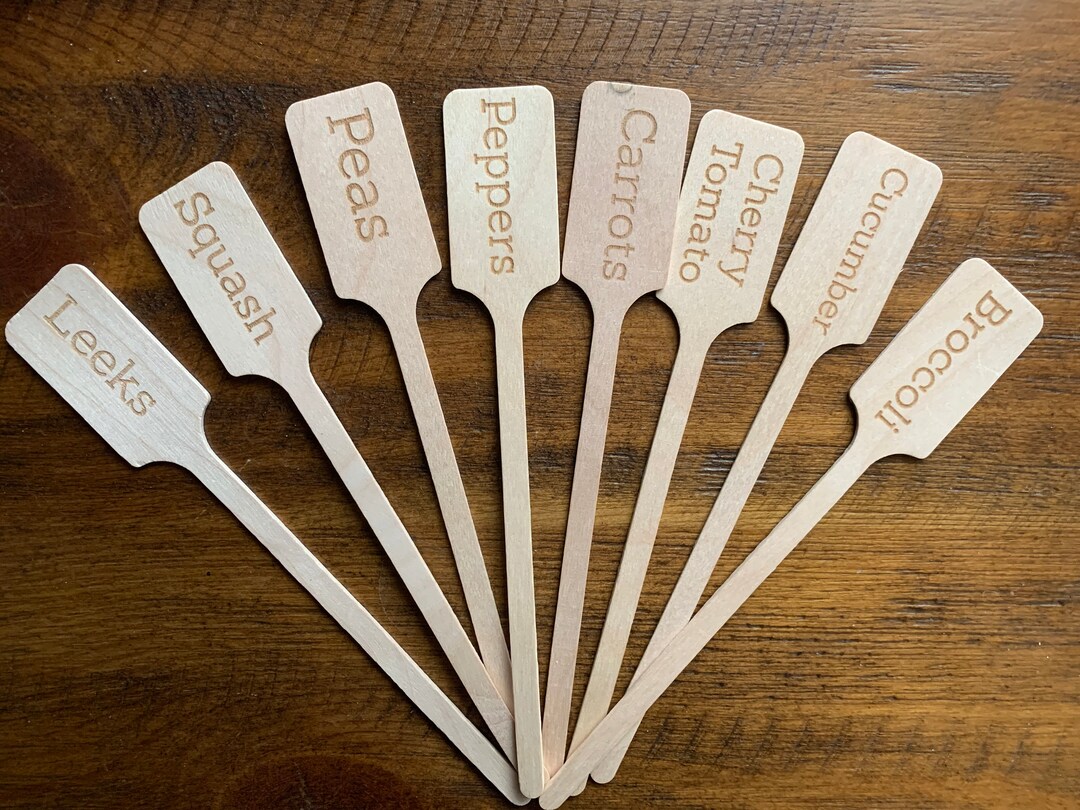 6 Veggie and Herb Labeled Stakes - Etsy