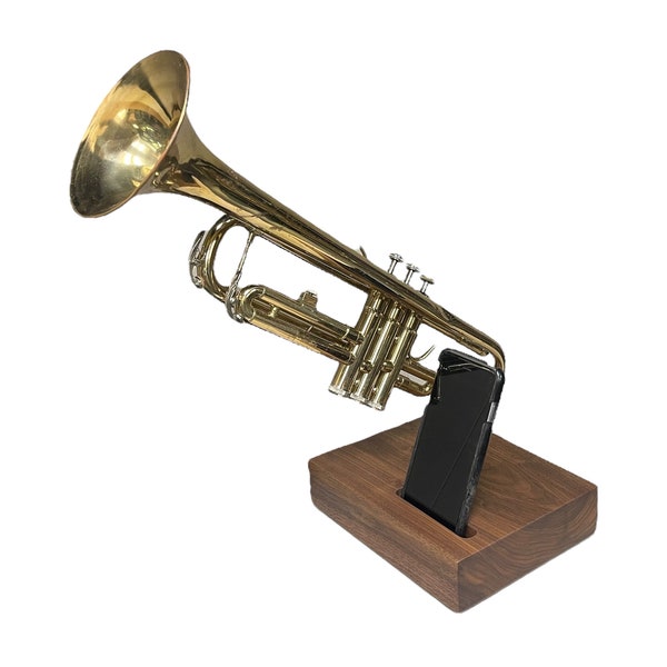 Acoustic Amplifier - Etsy