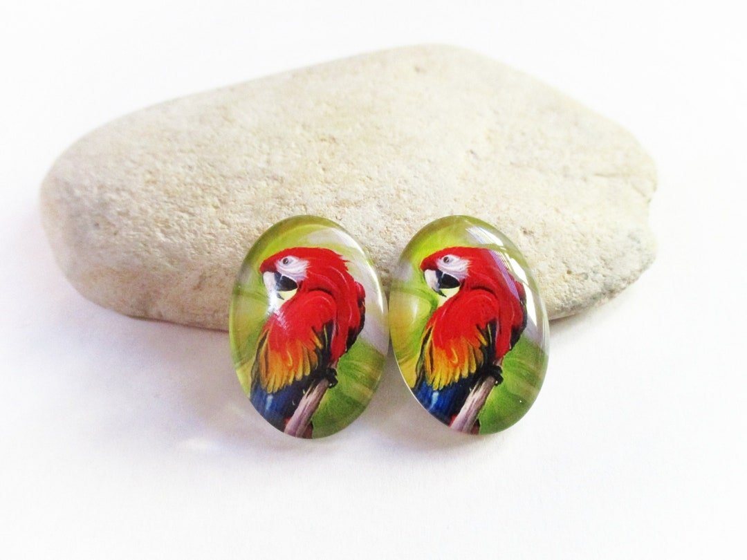Set of 2 Macaw Glass Cabochons: Colorful Parrot Charms (18x25mm) - Etsy
