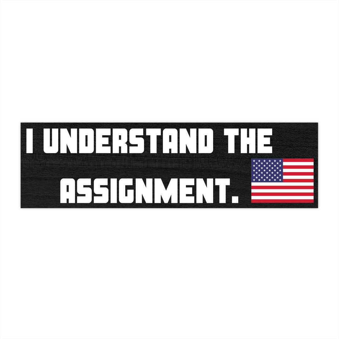I Understand the Assignment Sticker Kamala 2024 - Etsy