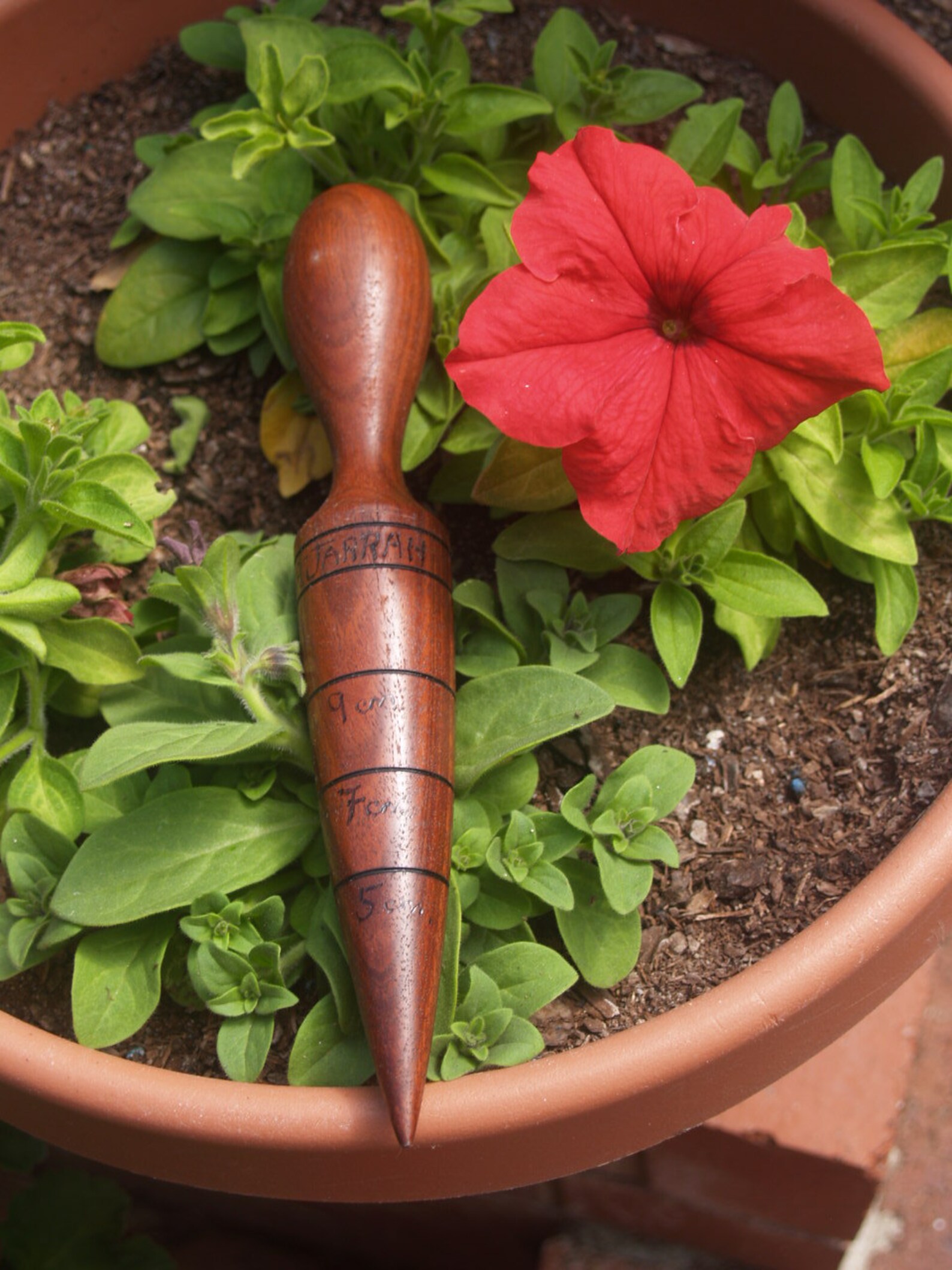 Seed or seedling planterdibber | Etsy