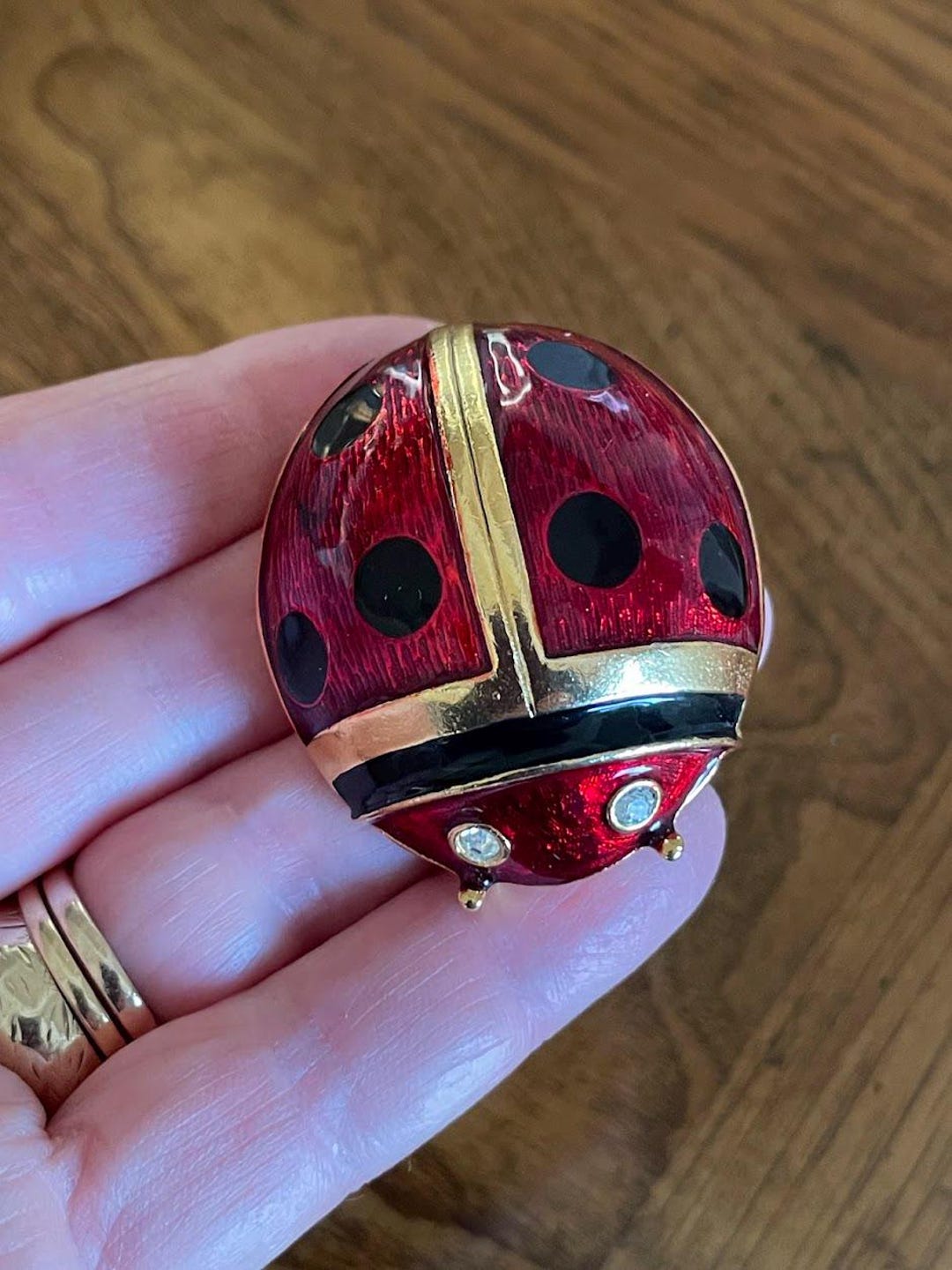 RESERVED for Heather Ladybug Statement Brooch, Fun, Quirky 80s ...