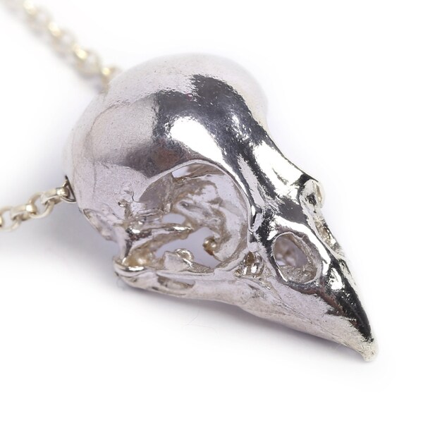 Bird Skull - Etsy