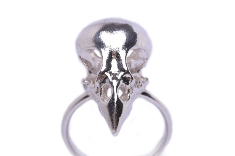 Finch Bird Skull Ring in Sterling Silver - Etsy UK