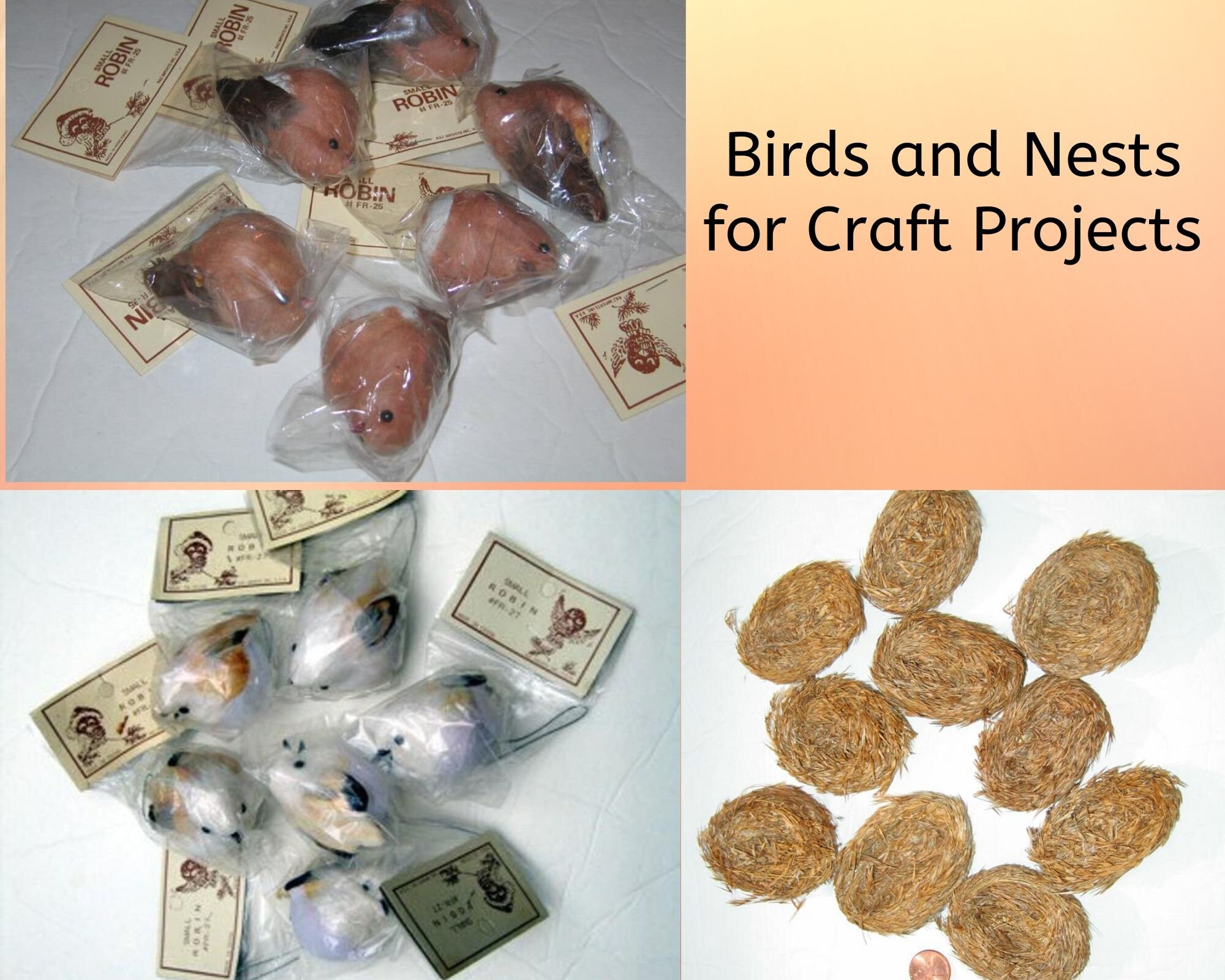 Robin Finches Birds and Bird Nest Vintage Craft Supply or Home Decor ...