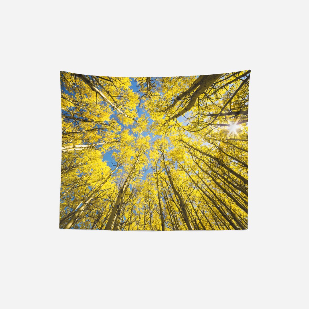 Tree Tapestry, Wall Tapestry, Trees Forest Woods Wilderness Sky, Large ...