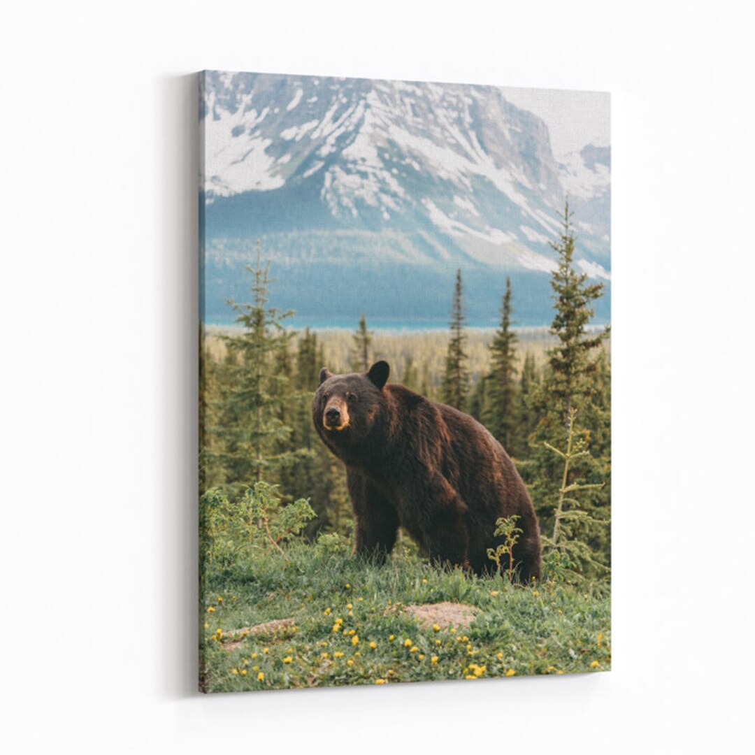 Black Bear Canvas Wall Art Decor Print Nature Ready to Hang - Etsy