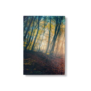 Nature Notebook | Forest Journal Notebook | Hardcover Journal ...