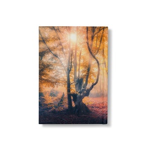 Fall Journal | Nature Journal | Hardcover Matte Journal Notebook | Fall ...