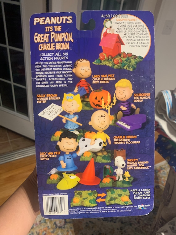 Linus Charlie Brown Costume