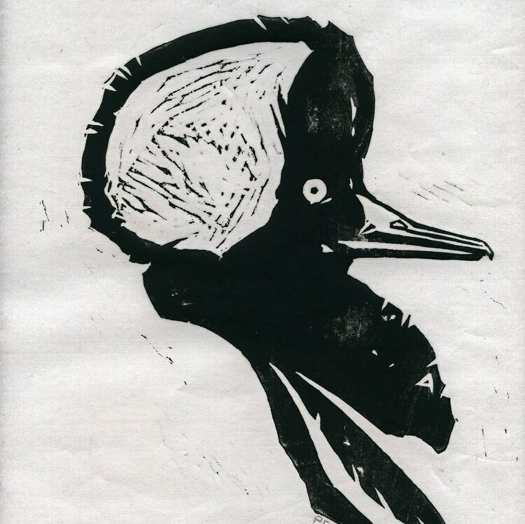 Hooded Merganser Duck Relief Print - Etsy