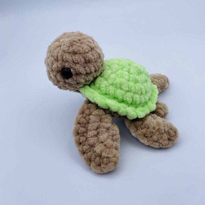 Small Turtle Wall - Etsy