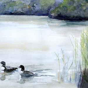 Loons on Lake CANVAS Art Print, Stretched Canvas Available in Several ...