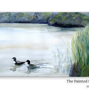 Loons on Lake CANVAS Art Print, Stretched Canvas Available in Several ...