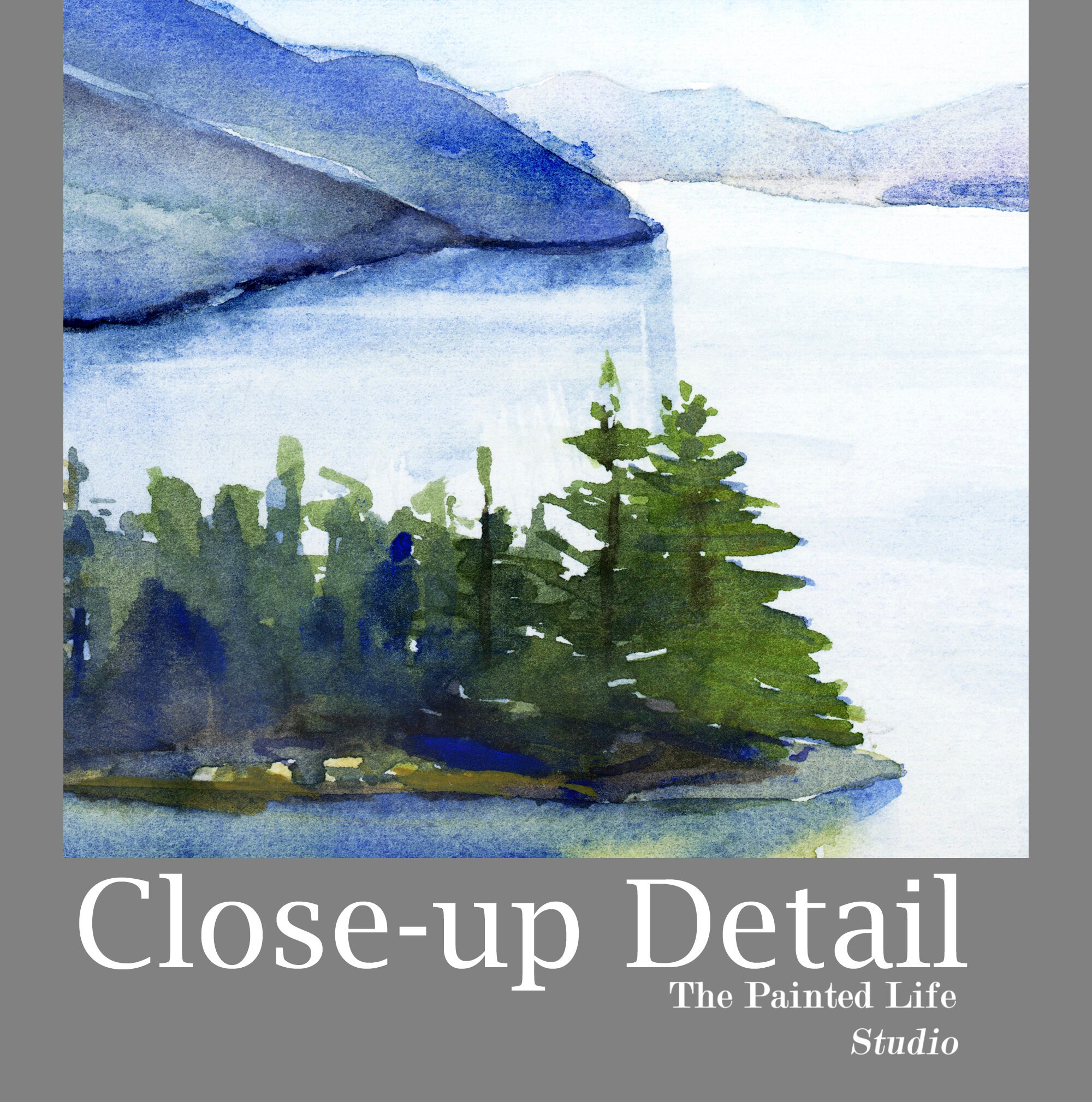 View From Lake George Island CANVAS Print Adirondacks Lake - Etsy