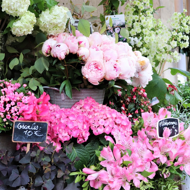 Paris Peonies - Etsy