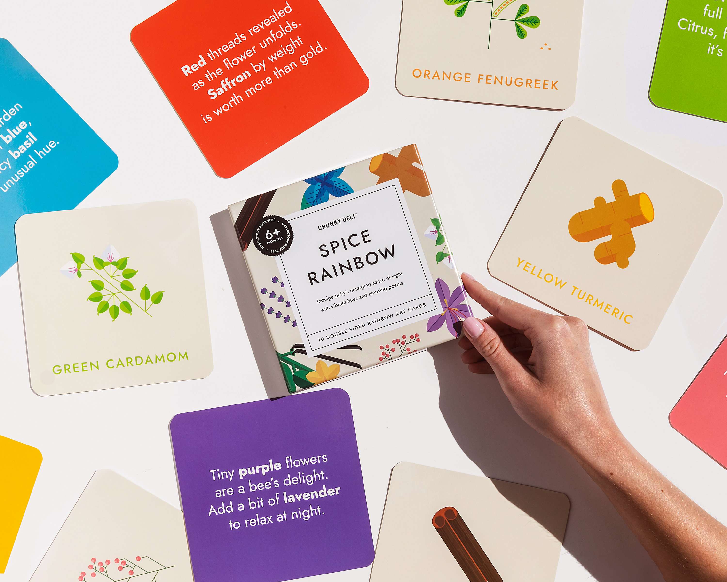 Spice Rainbow Art Cards Sensory Learning Toy Exploring Color Through ...