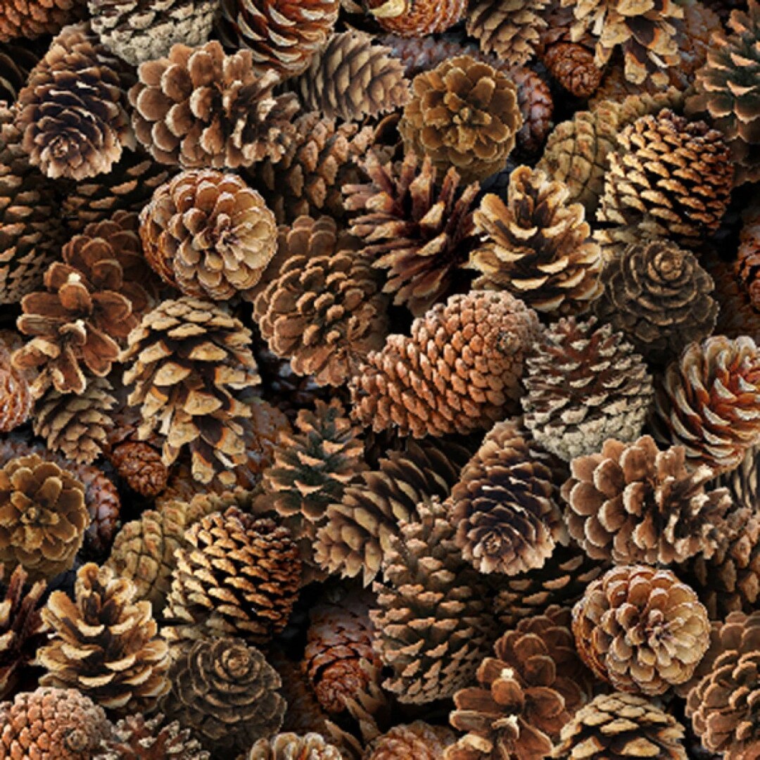 Pine Cone Fabric Landscape Medley in Brown 100% Cotton Fabric From ...