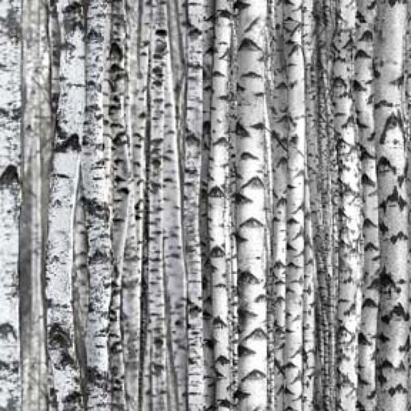 Birch Tree Fabric - Etsy
